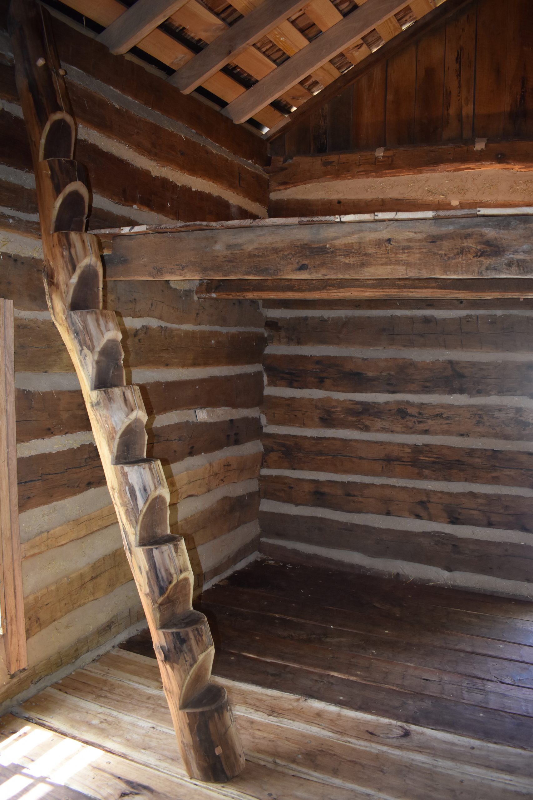 cabins3 | News, Sports, Jobs - The Freeman Journal